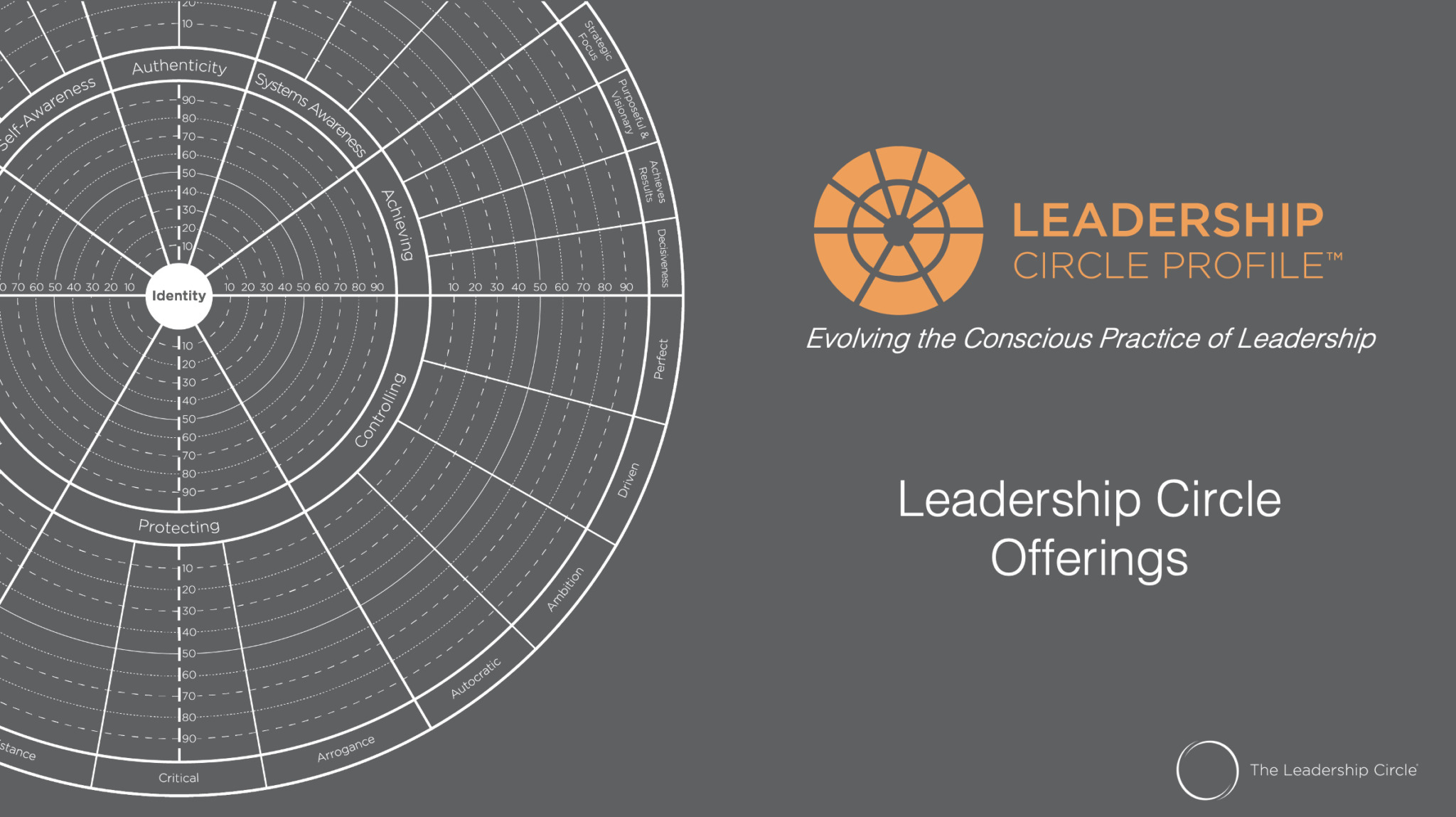 LCgo-LCP - Learn From Each Other - Leadership Circle