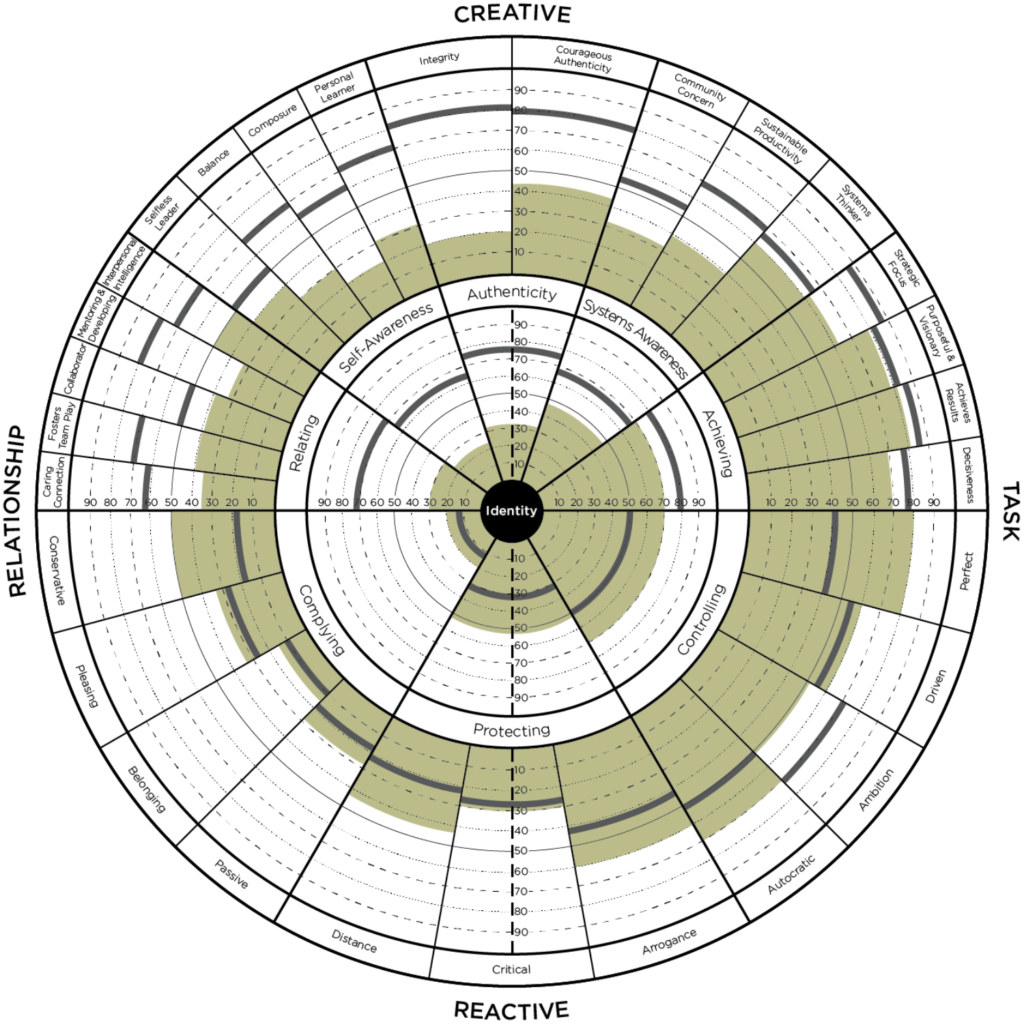 The Leadership Circle | Free Self-Assessment