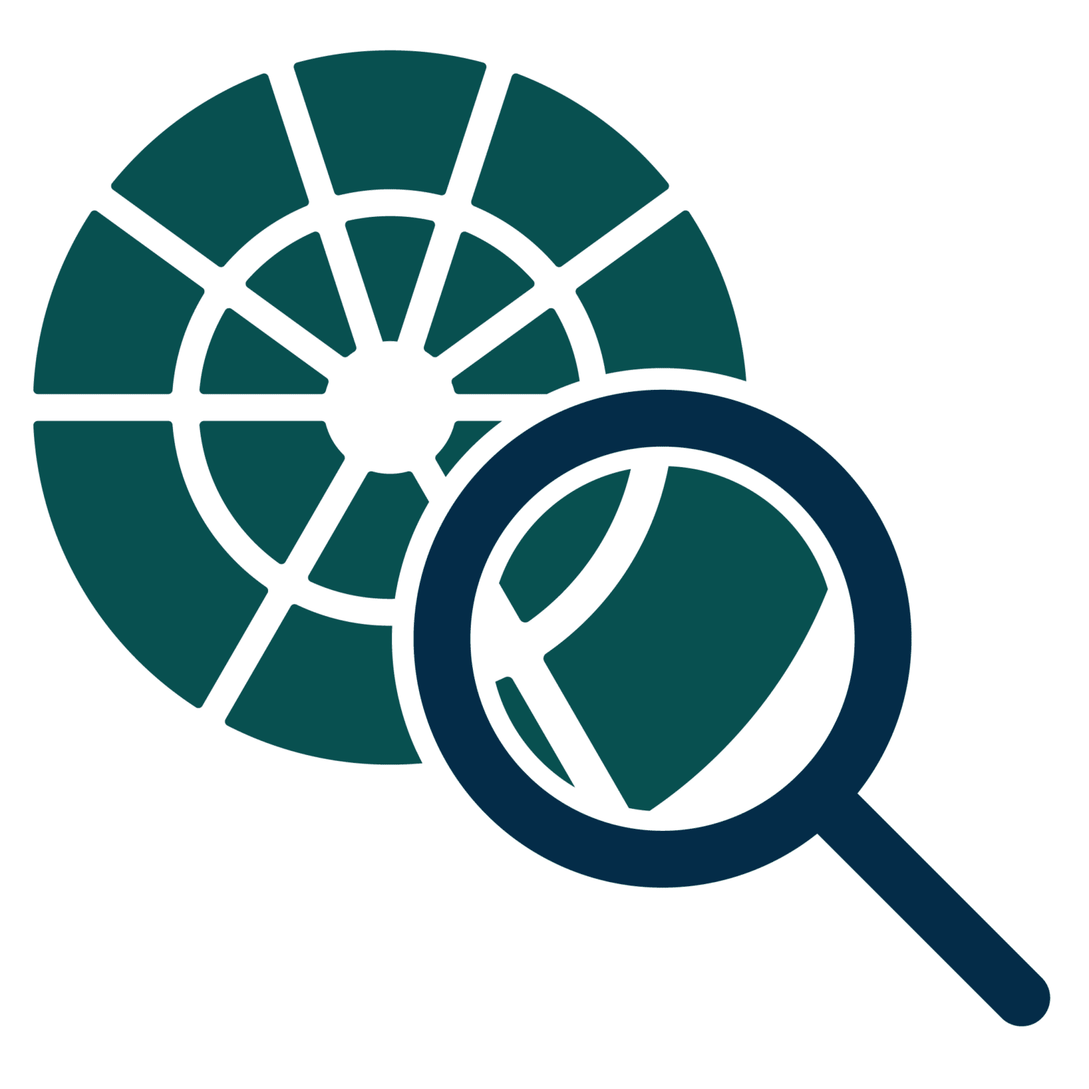 The Leadership Circle Profile (LCP) 360 Certification