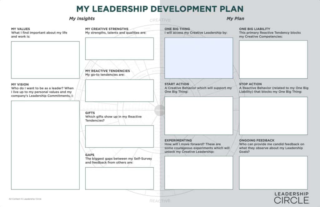 LCgo-LCP - How to Deliver - Leadership Circle