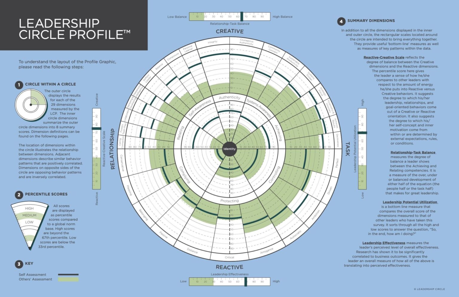 LCgo-LCP - How to Deliver - Leadership Circle