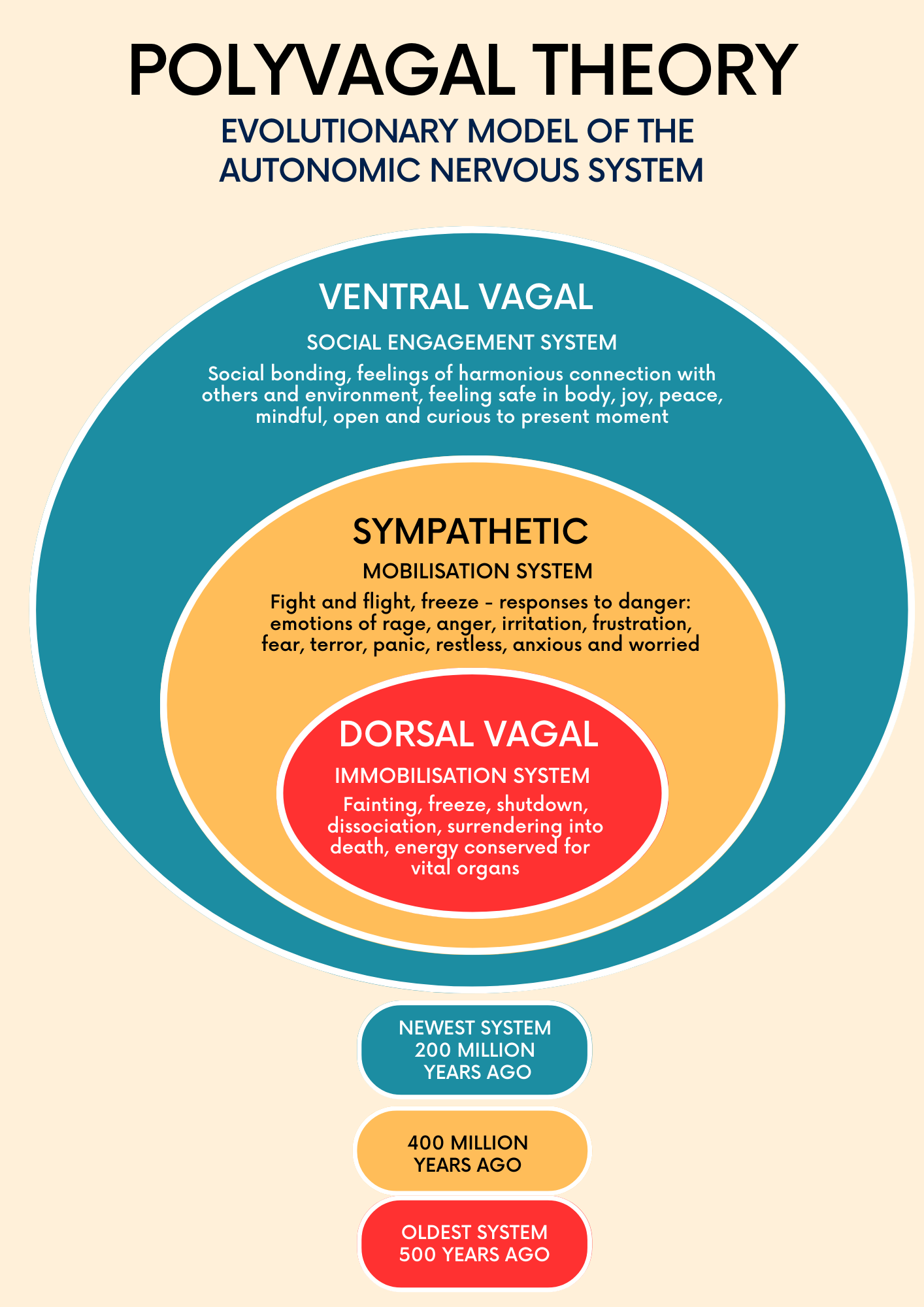 Leading with the Nervous System: the Power of Polyvagal Theory ...