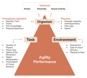 Breaking Free from Cognitive Rigidity: the Leadership Skill No One ...